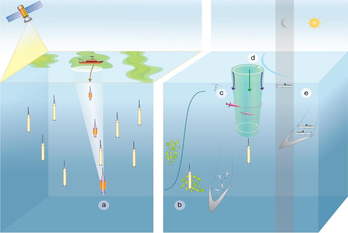 Sediment traps deployed to measure biological carbon uptake - AAPP