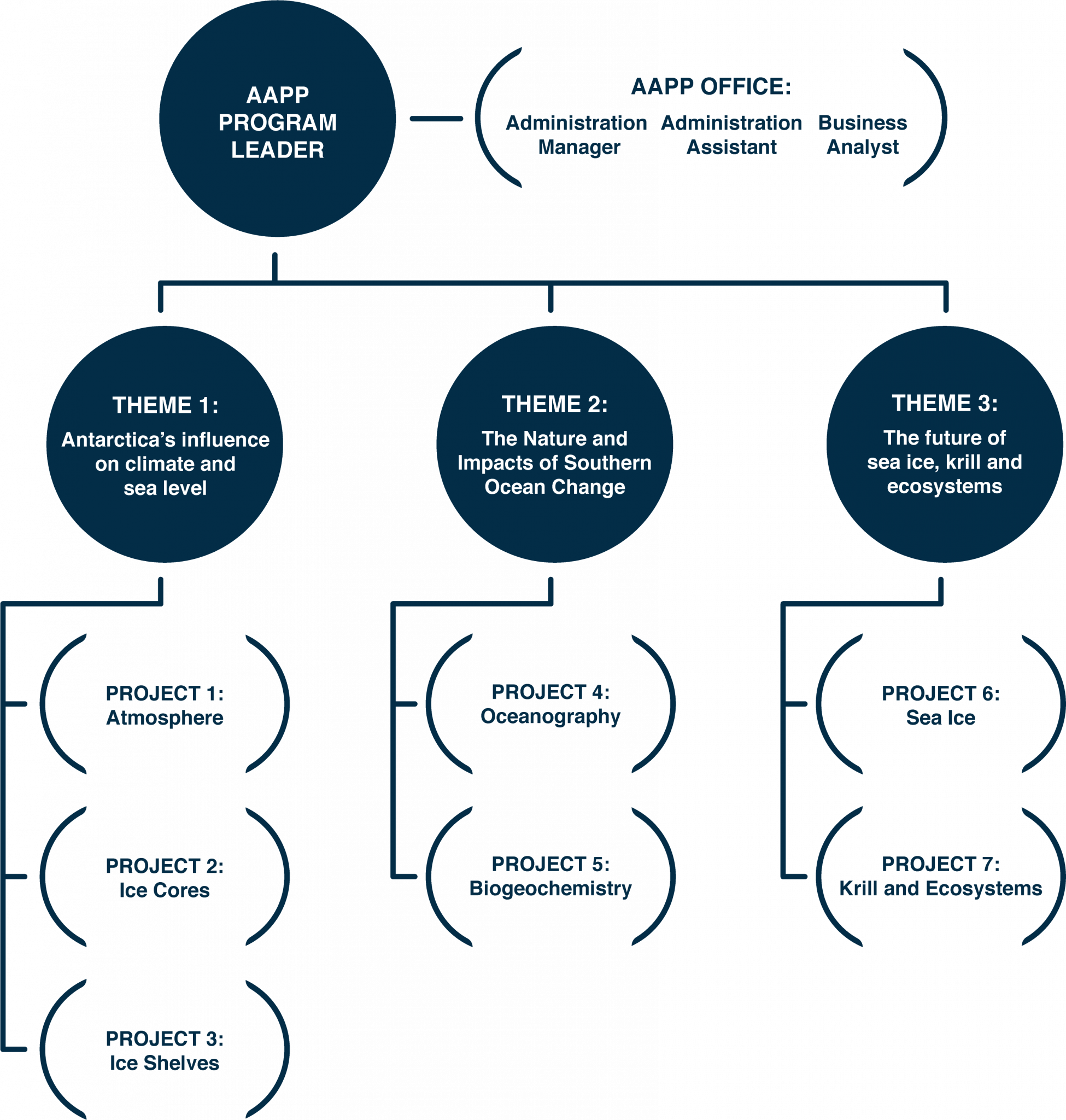 About Us - AAPP