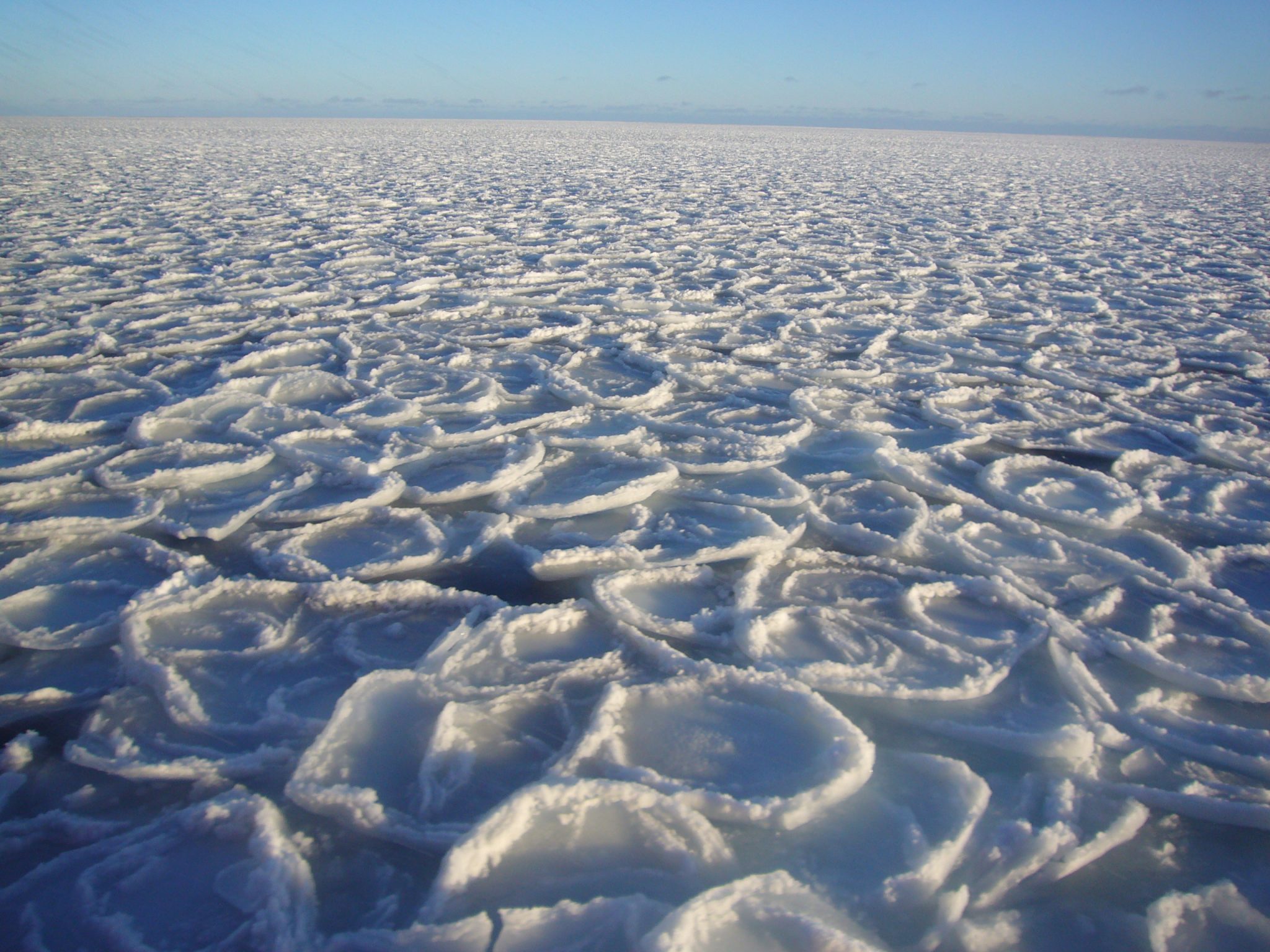 Study exposes role of sea ice in protecting Antarctic coast - AAPP