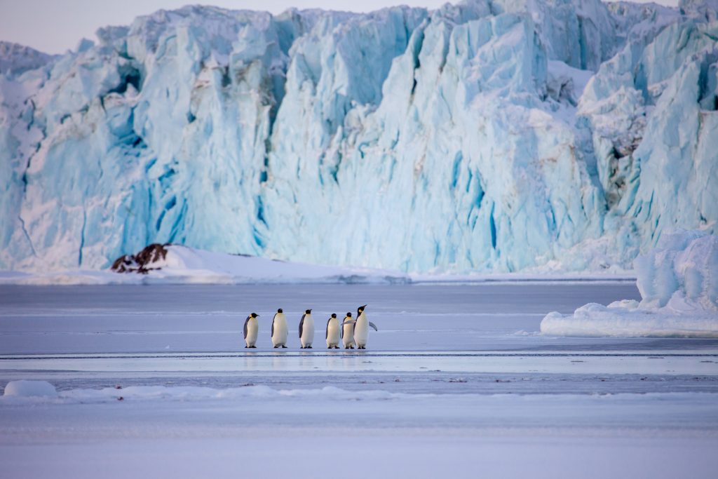 New study of Antarctic landfast ice charts dramatic crash - AAPP