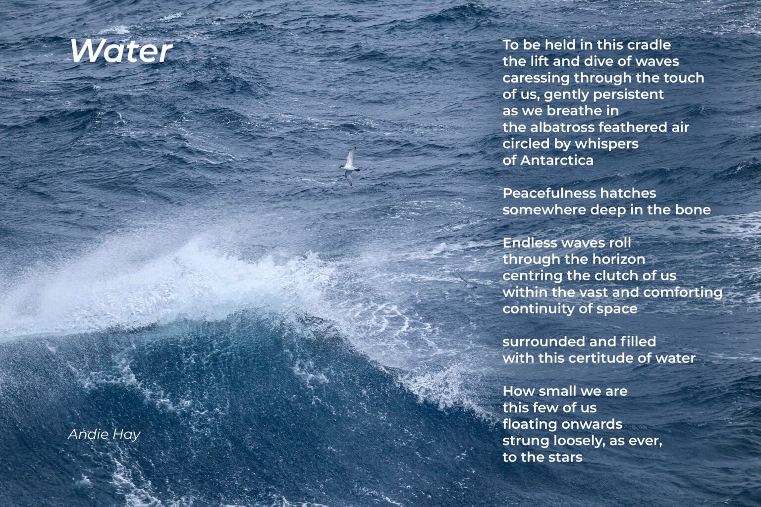 For the sheer excitement of being here - AAPP